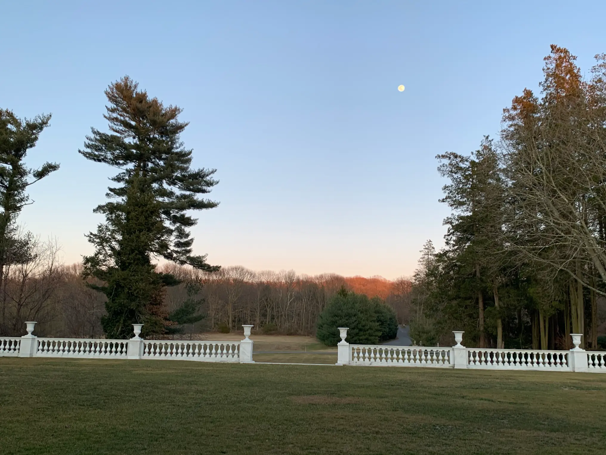 Services - Valley of the Moon Partners